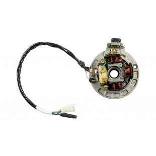 Hero Stator Complete, Ac Generator Assembly - 31120Kcc901S — Vashi ...