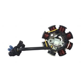 Hero Stator Complete, Ac Generator Assembly - 31120Ktp890S — Vashi ...