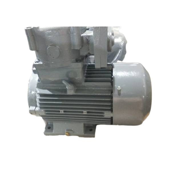 Flame Proof Motors, FLP motors Latest Price in India, — Vashi ...