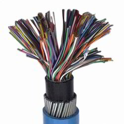 Buy Polycab 0.5 Sqmm, 20 Pair Telephone (Switchboard) Polythene ...