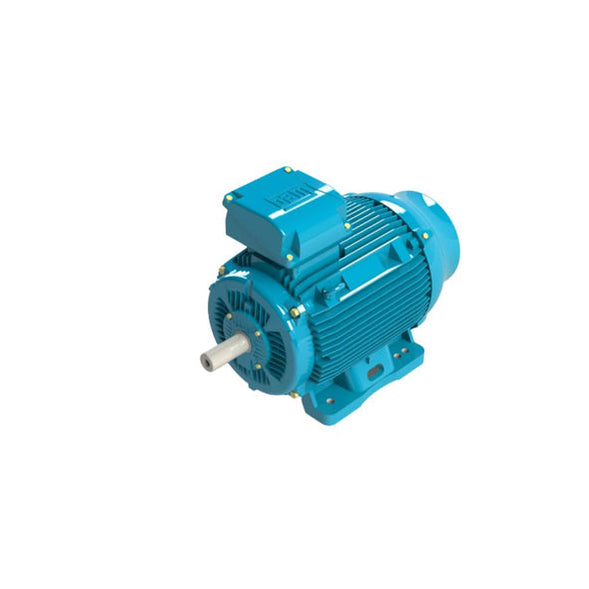 Buy WEG Motor, WEG Electric Motor Online at Best Price — Vashi ...